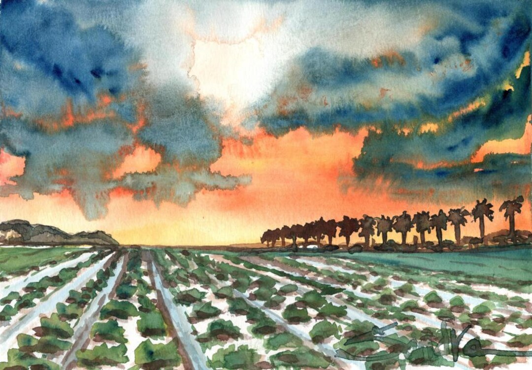 Oxnard Strawberry Field : SIGNED Art Print Sandra Watercolors ...