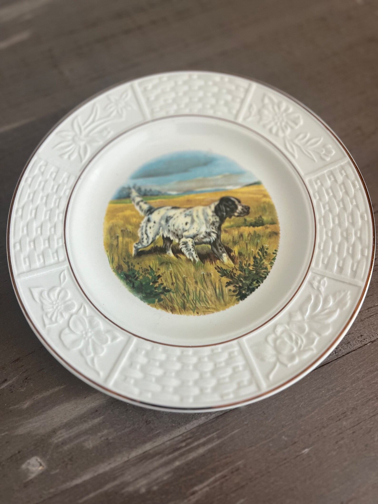 Vintage English Setter Collectible Plate - Etsy