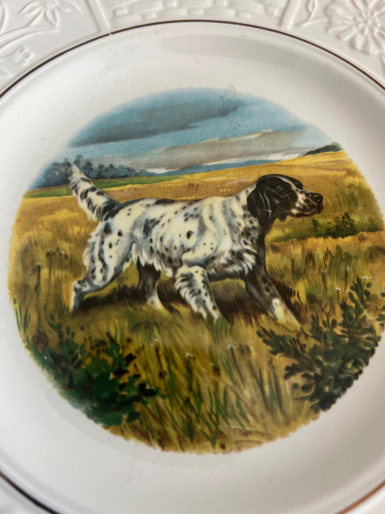 Vintage English Setter Collectible Plate - Etsy