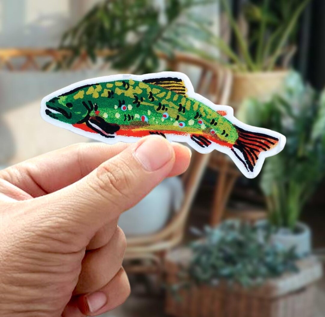 Brook Trout Fish Sticker - Etsy