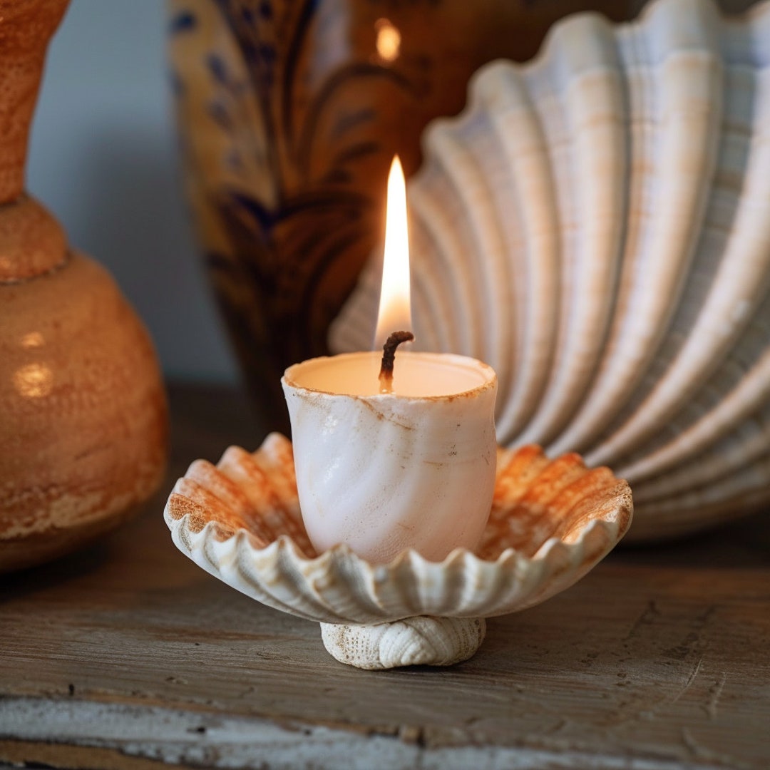 Artistic Shell Candle Holder Designs - Etsy
