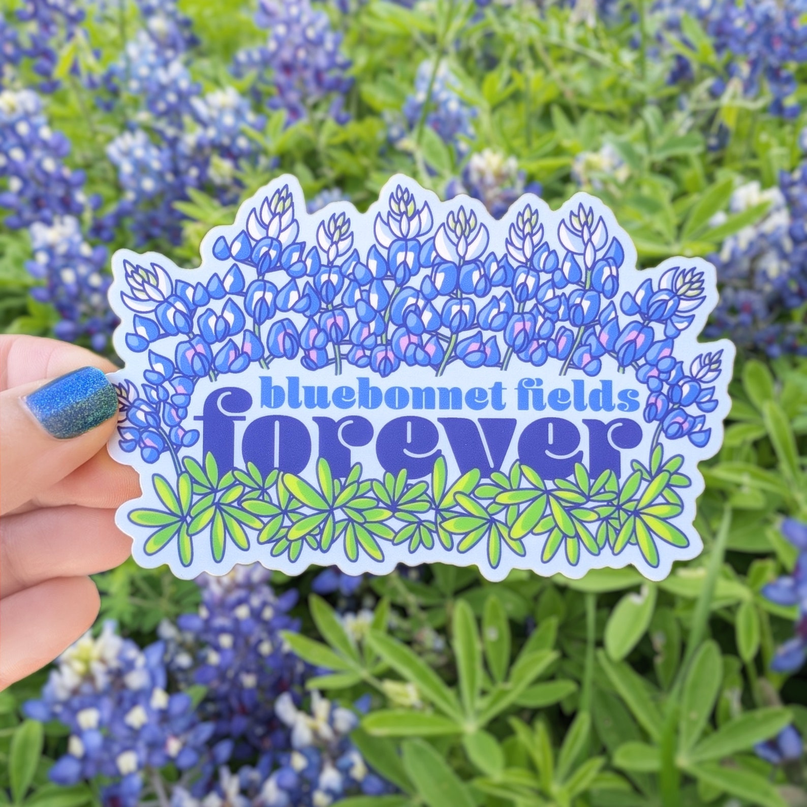 Bluebonnet Fields Sticker—texas Wildflower Decal - Etsy