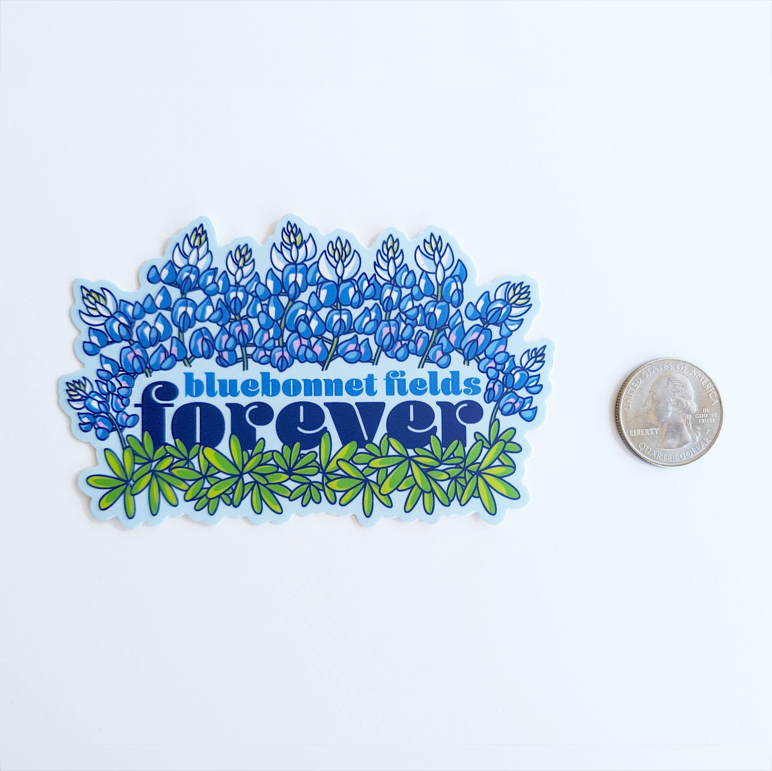 Bluebonnet Fields Sticker—texas Wildflower Decal - Etsy