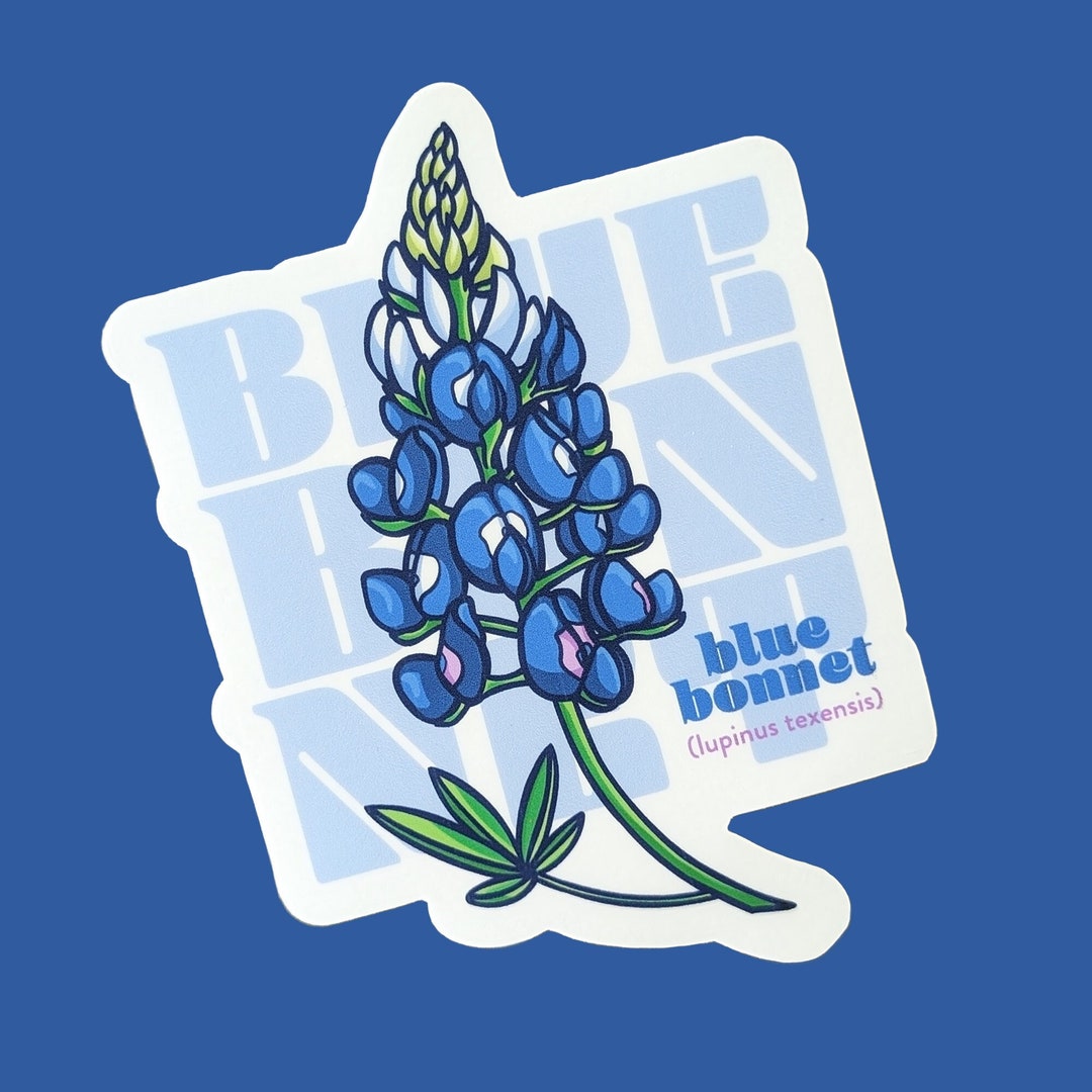 Texas Bluebonnet Sticker—lupinus Texensis Vinyl Wildflower Decal - Etsy