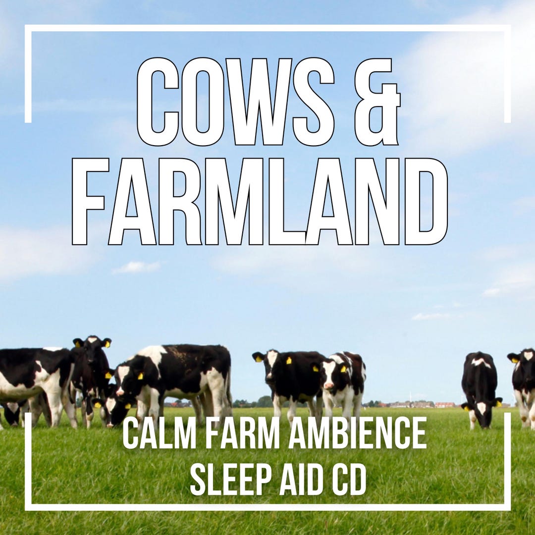Cows in Field CD: Gentle Farm Ambience for Sleep & Relaxation - Etsy
