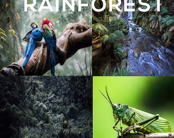 Waterfall Nature Sound CD Nature Sounds for Deep Sleep, Relaxation ...