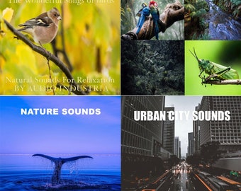 Waterfall Nature Sound CD Nature Sounds for Deep Sleep, Relaxation ...