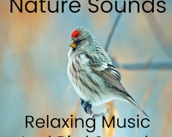 Waterfall Nature Sound CD Nature Sounds for Deep Sleep, Relaxation ...