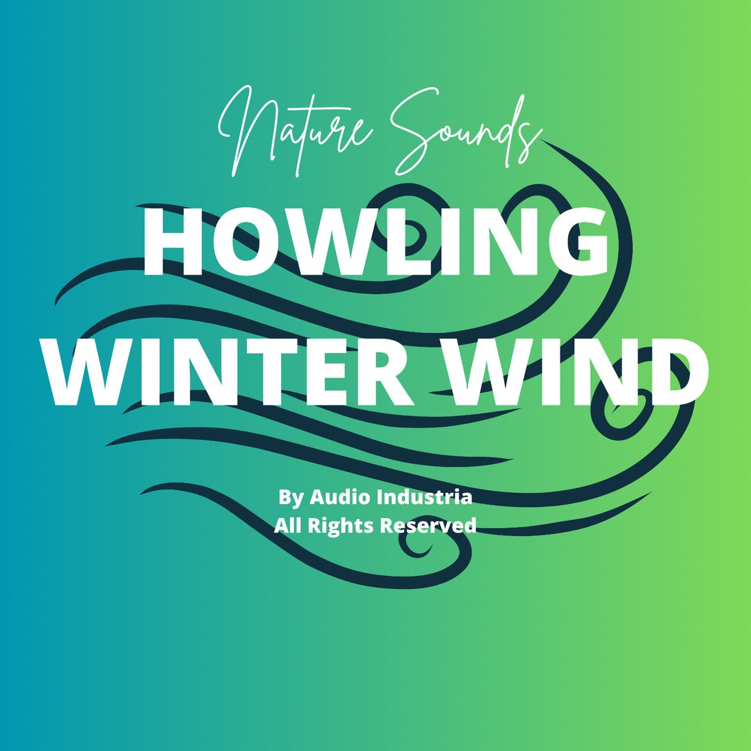 Nature Sounds Howling Winter Wind CD Relaxation Stress Sleep Aid Calm ...