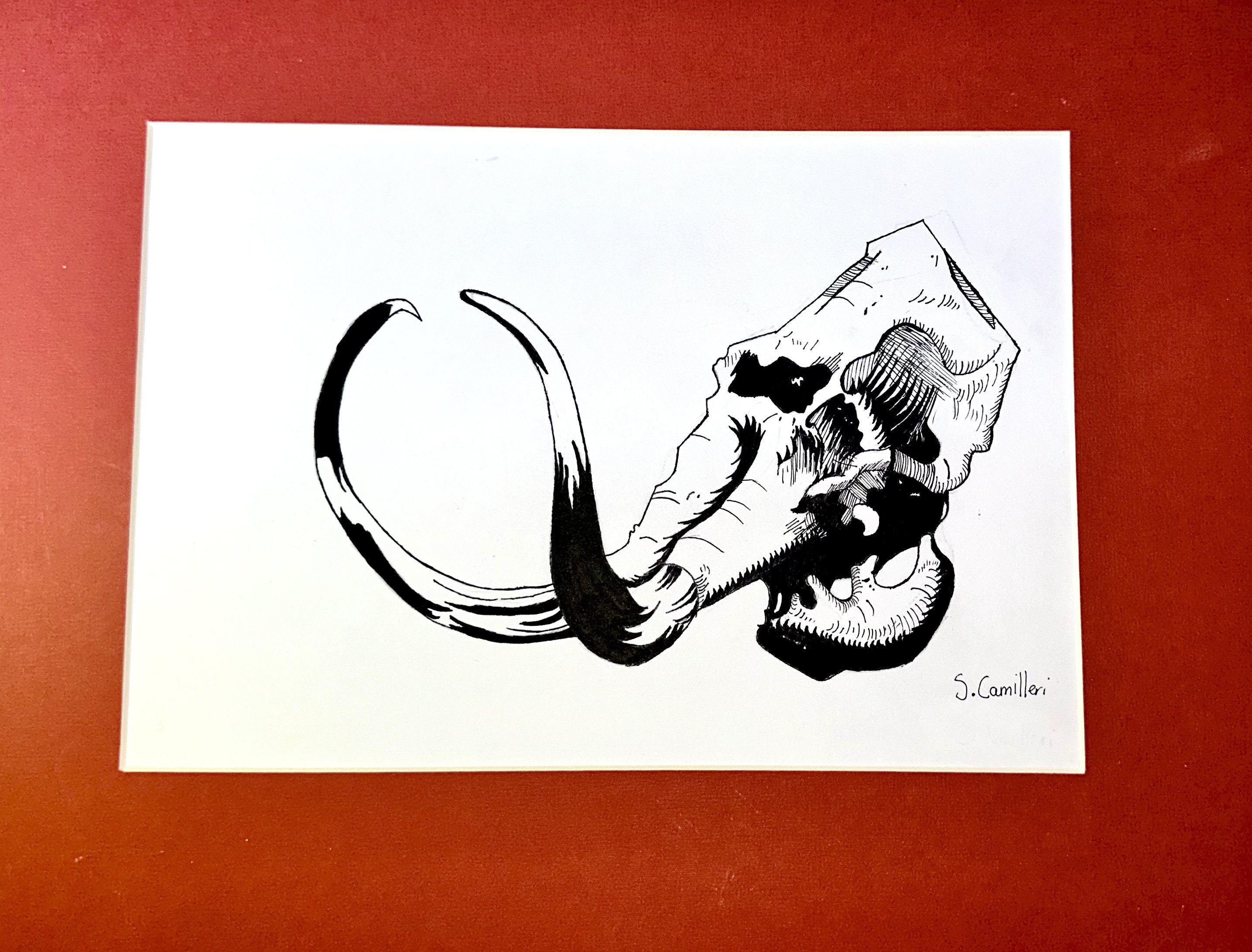 10 Pc Pen on Paper Drawings From an Upcoming Maltese Artist - Etsy