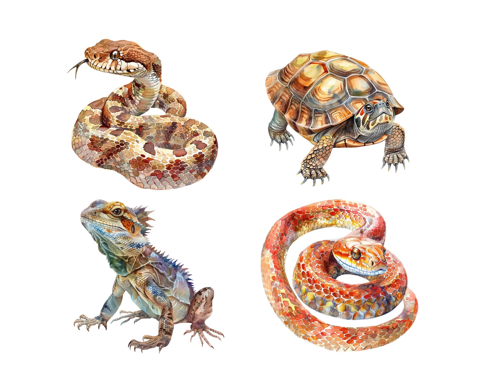 Watercolor Reptiles Clipart Bundle: Lizard, Snake, Turtle (digital ...