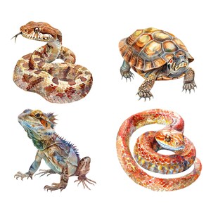 Watercolor Reptiles Clipart Bundle: Lizard, Snake, Turtle (digital ...