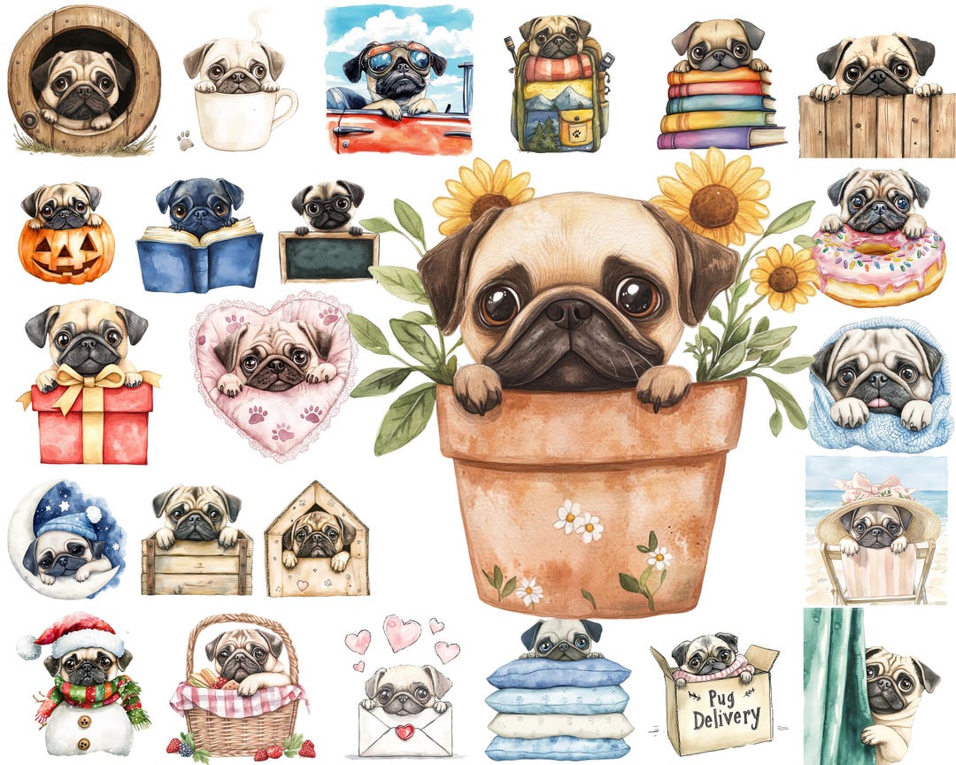 Watercolor Pug Peeking Clipart Bundle: Commercial Use PNG (digital ...