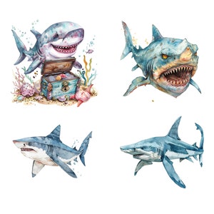 Watercolor Shark Species PNG Clipart Bundle, Great White, Basking ...