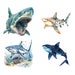 Watercolor Shark Species PNG Clipart Bundle, Great White, Basking ...