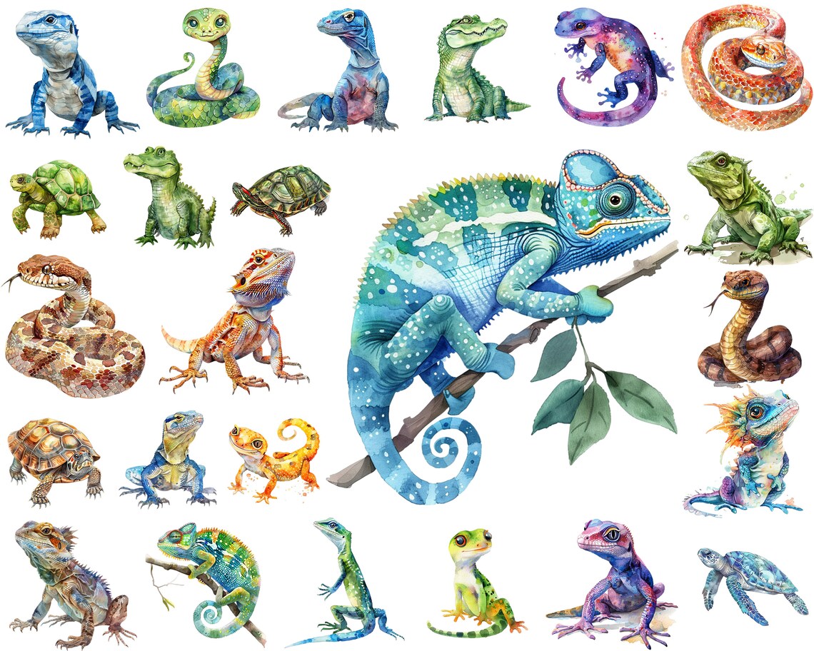 Watercolor Reptiles Clipart Bundle: Lizard, Snake, Turtle (digital ...