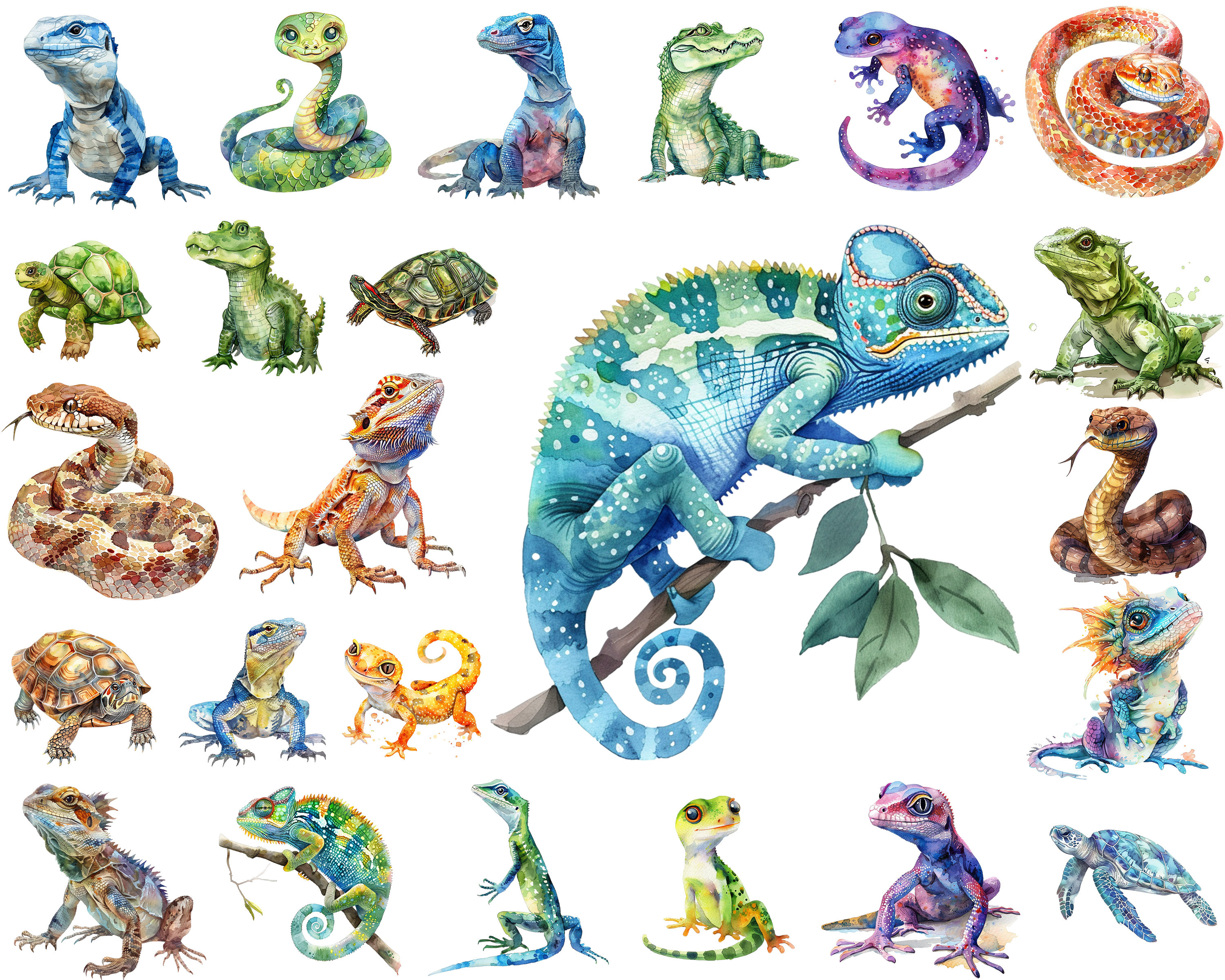 Watercolor Reptiles Clipart Bundle: Lizard, Snake, Turtle (digital ...
