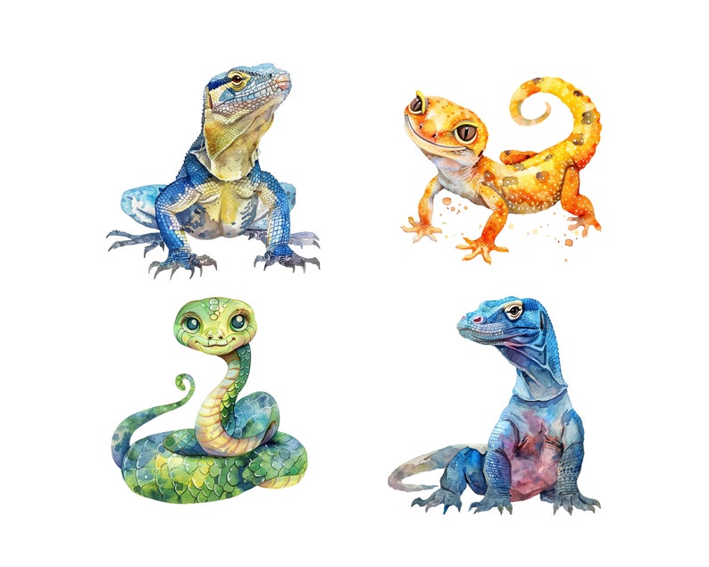 Watercolor Reptiles Clipart Bundle: Lizard, Snake, Turtle (digital ...