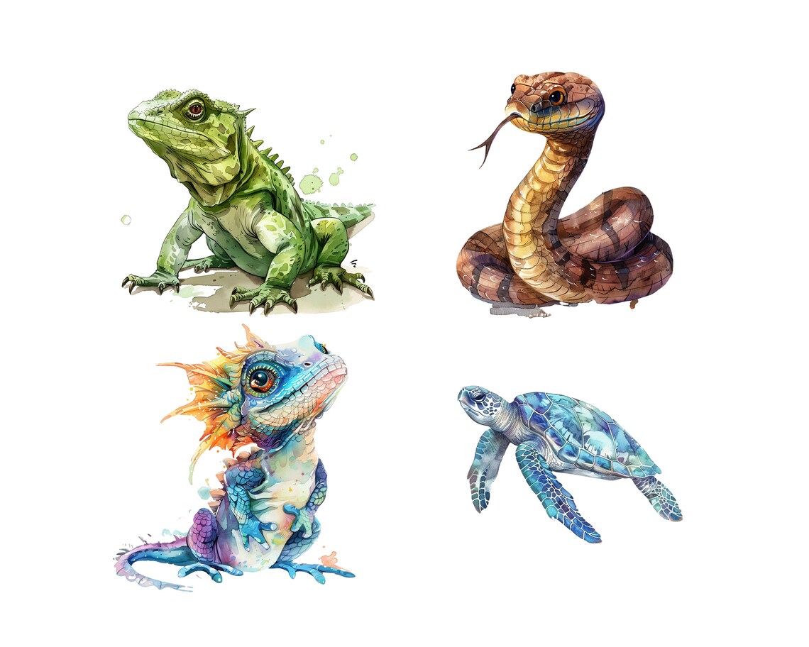 Watercolor Reptiles Clipart Bundle: Lizard, Snake, Turtle (digital ...