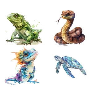 Watercolor Reptiles Clipart Bundle: Lizard, Snake, Turtle (digital ...