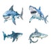 Watercolor Shark Species PNG Clipart Bundle, Great White, Basking ...