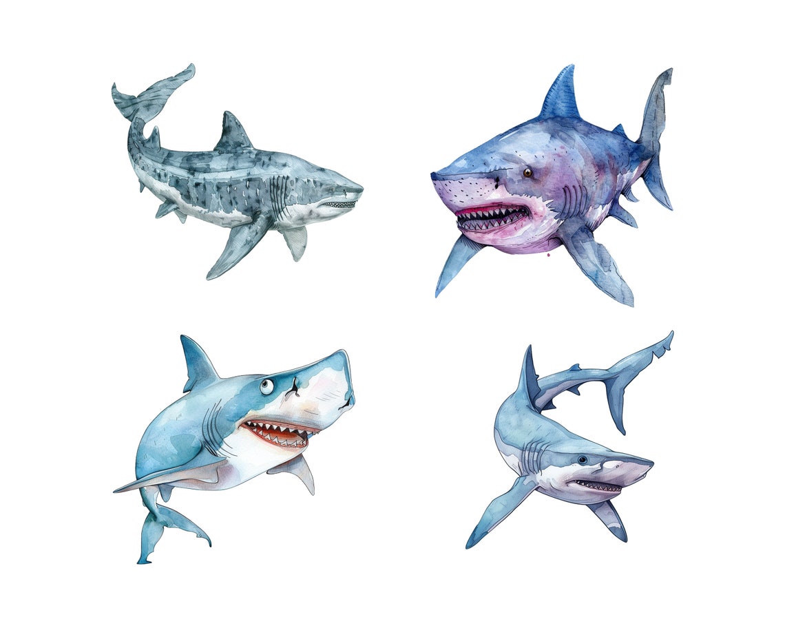 Watercolor Shark Species PNG Clipart Bundle, Great White, Basking ...