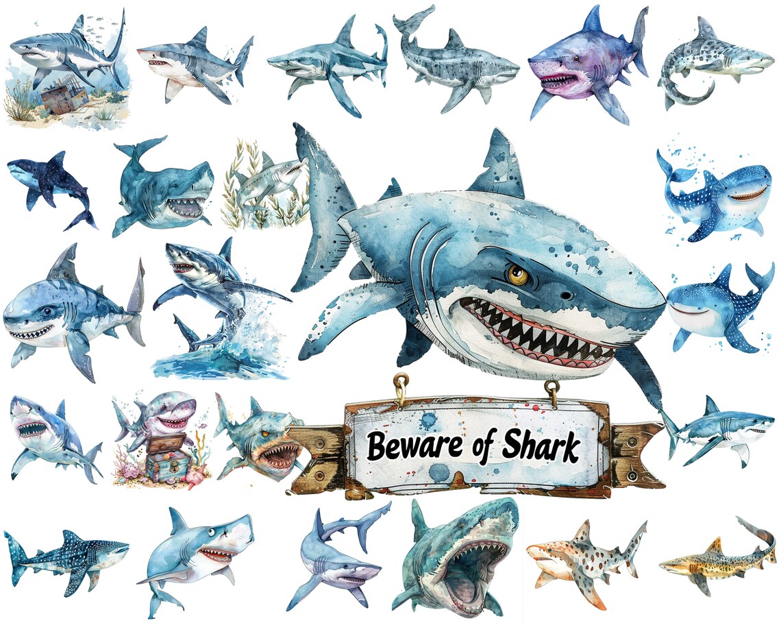 Watercolor Shark Species PNG Clipart Bundle, Great White, Basking ...