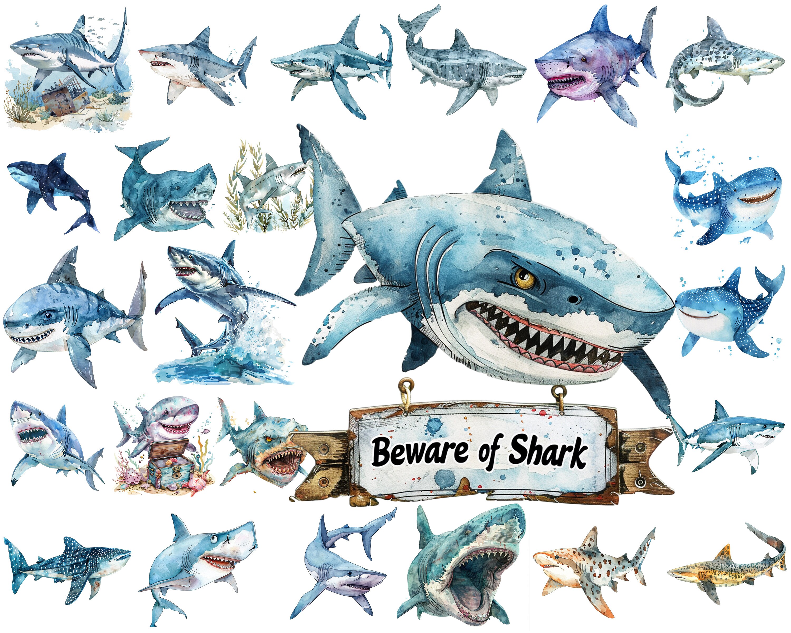 Watercolor Shark Species PNG Clipart Bundle, Great White, Basking ...