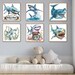 Watercolor Shark Species PNG Clipart Bundle, Great White, Basking ...