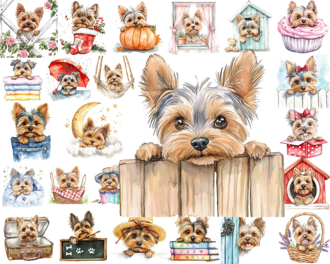 Watercolor Yorkie Peeking PNG Clipart Bundle: Commercial Use - Etsy
