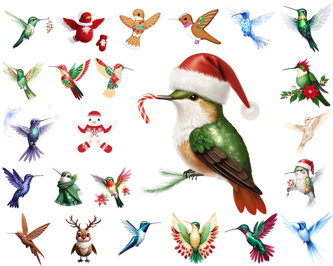Christmas Hummingbird PNG Clipart Bundle, Cute Santa Hummingbird ...