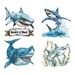 Watercolor Shark Species PNG Clipart Bundle, Great White, Basking ...