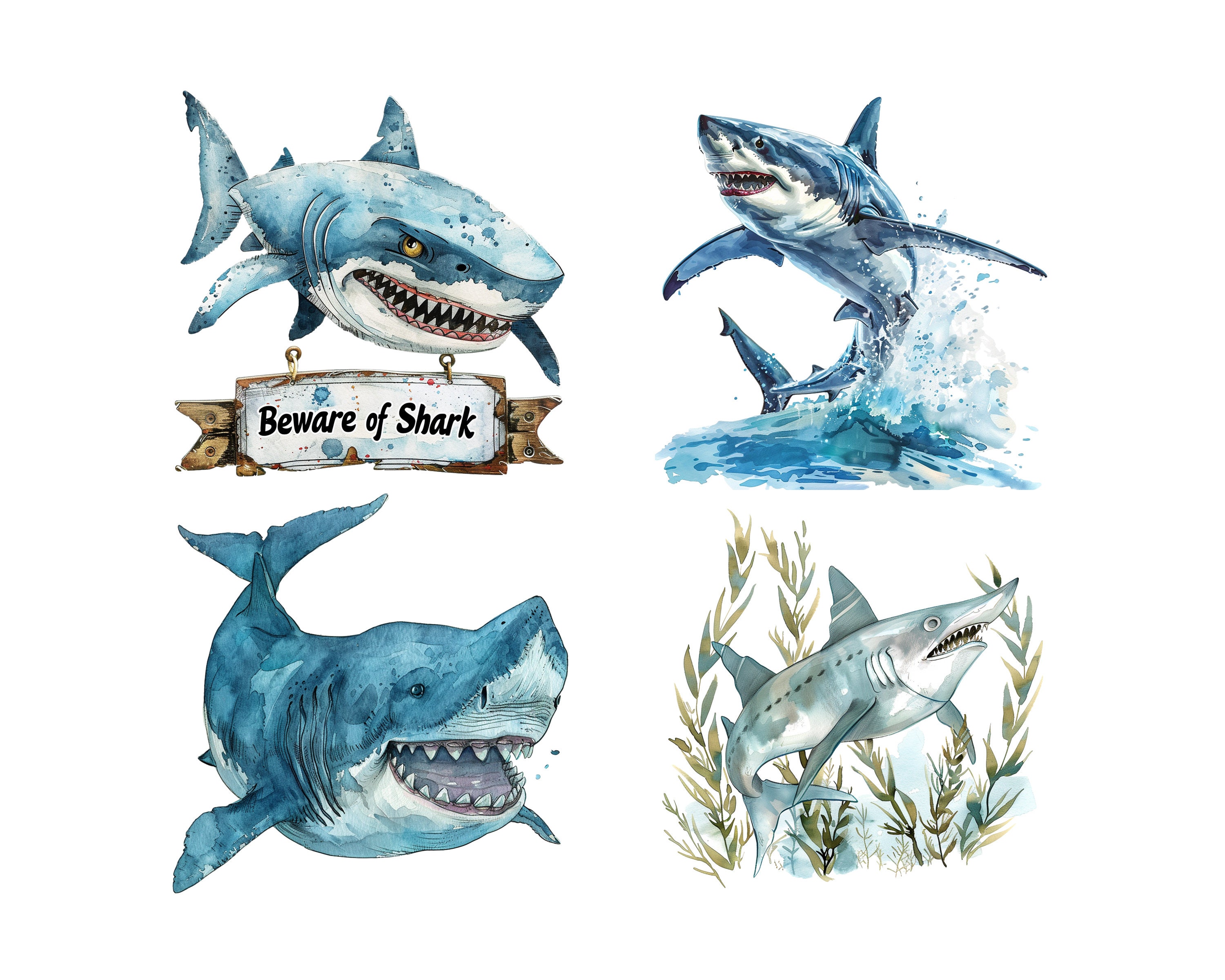 Watercolor Shark Species PNG Clipart Bundle, Great White, Basking ...