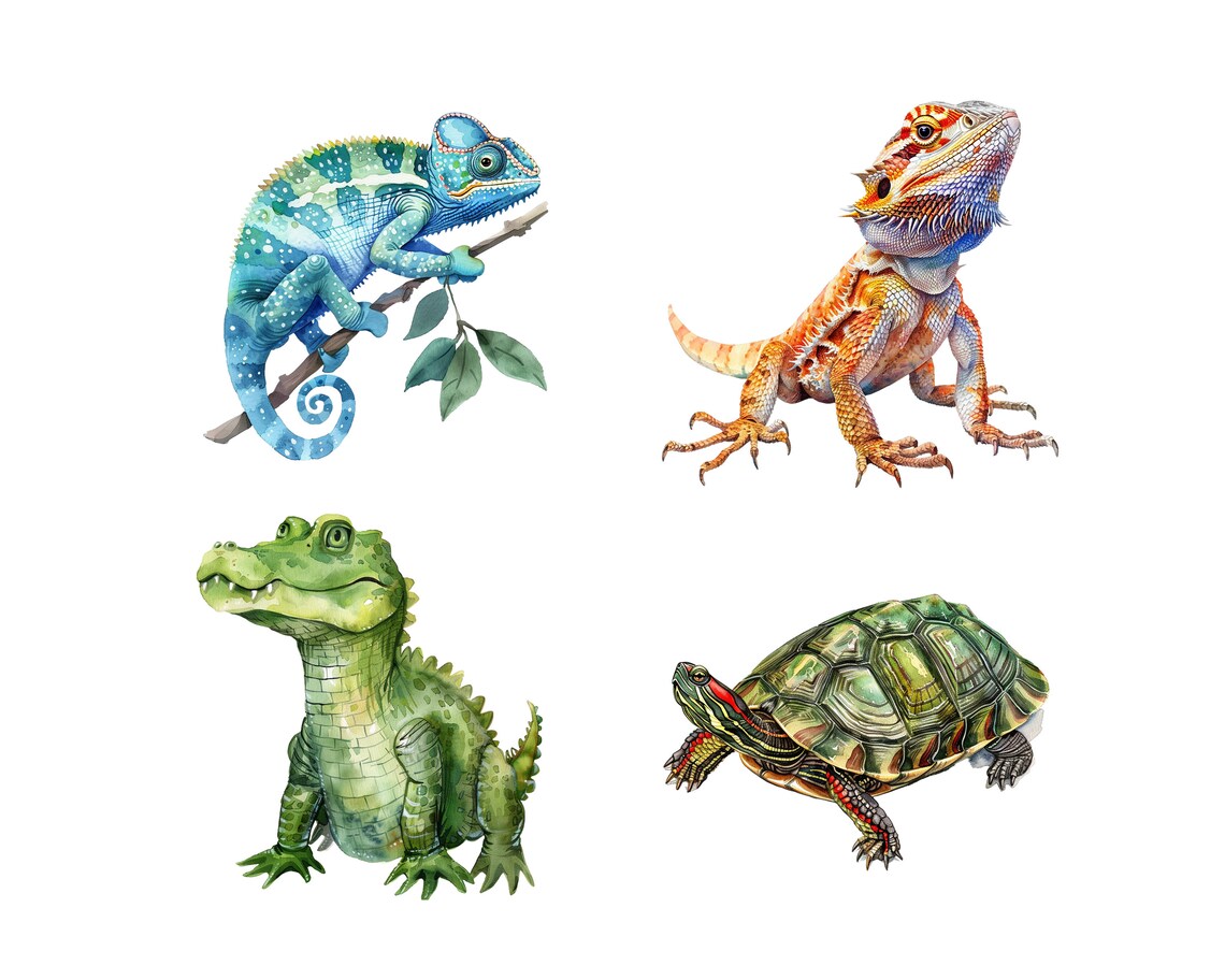 Watercolor Reptiles Clipart Bundle: Lizard, Snake, Turtle (digital ...