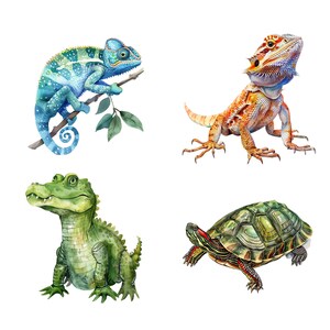 Watercolor Reptiles Clipart Bundle: Lizard, Snake, Turtle (digital ...