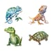 Watercolor Reptiles PNG Clipart Bundle, Chameleon, Lizard, Skink, Snake ...