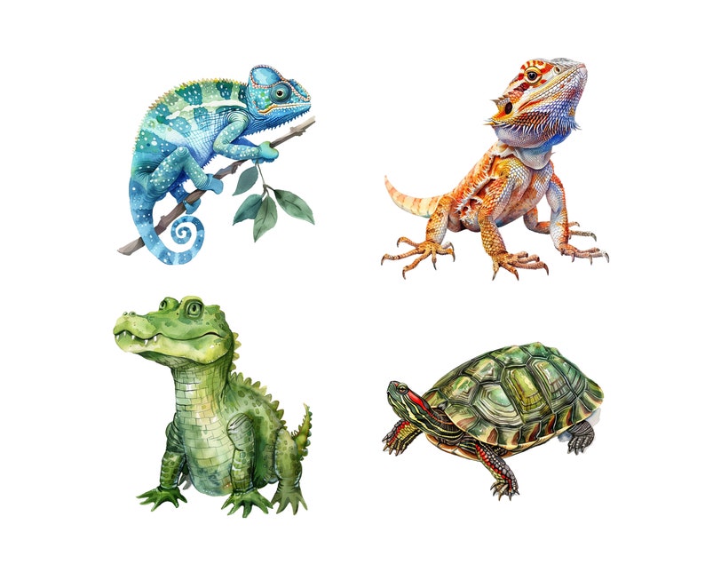 Watercolor Reptiles Clipart Bundle: Lizard, Snake, Turtle (digital ...