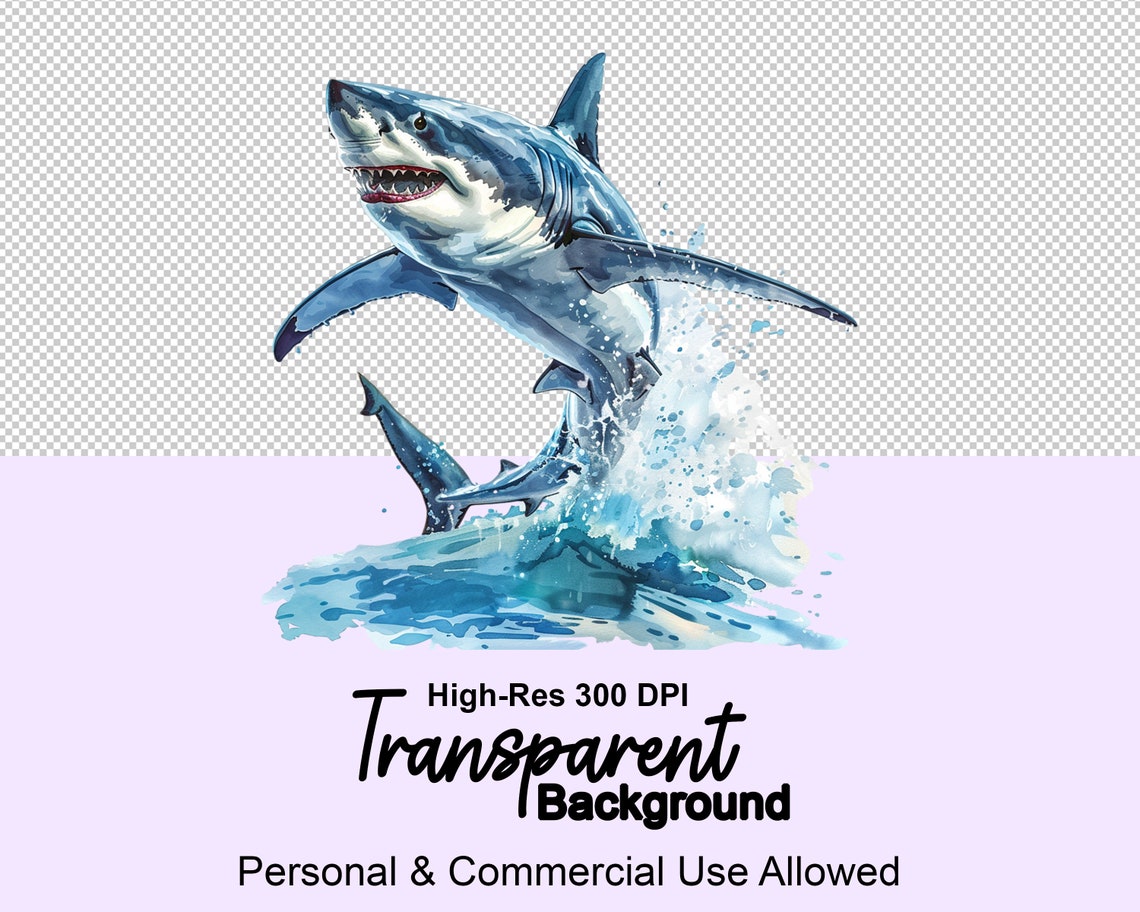 Watercolor Shark Species PNG Clipart Bundle, Great White, Basking ...