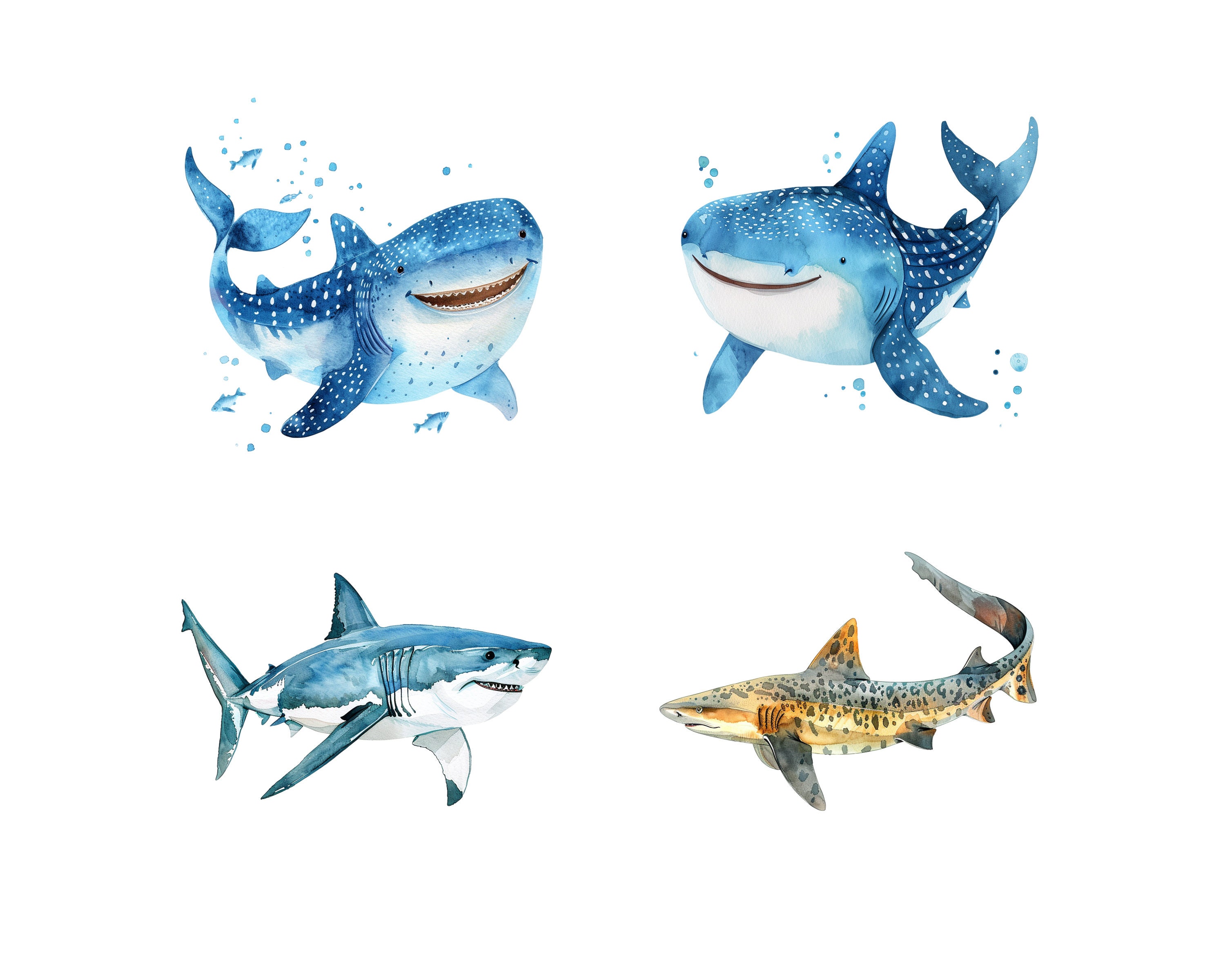 Watercolor Shark Species PNG Clipart Bundle, Great White, Basking ...