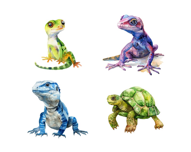 Watercolor Reptiles Clipart Bundle: Lizard, Snake, Turtle (digital ...