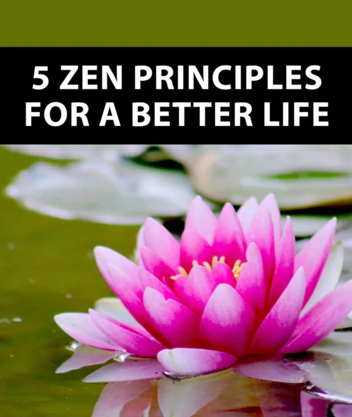 Zen Principles Ebook & Audiobook – 26-page Guide (PDF) - Etsy