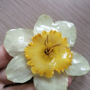 Real Flowers Hair Pins - Daffodil Hair Pin - for Brides and Bridesmaids ...
