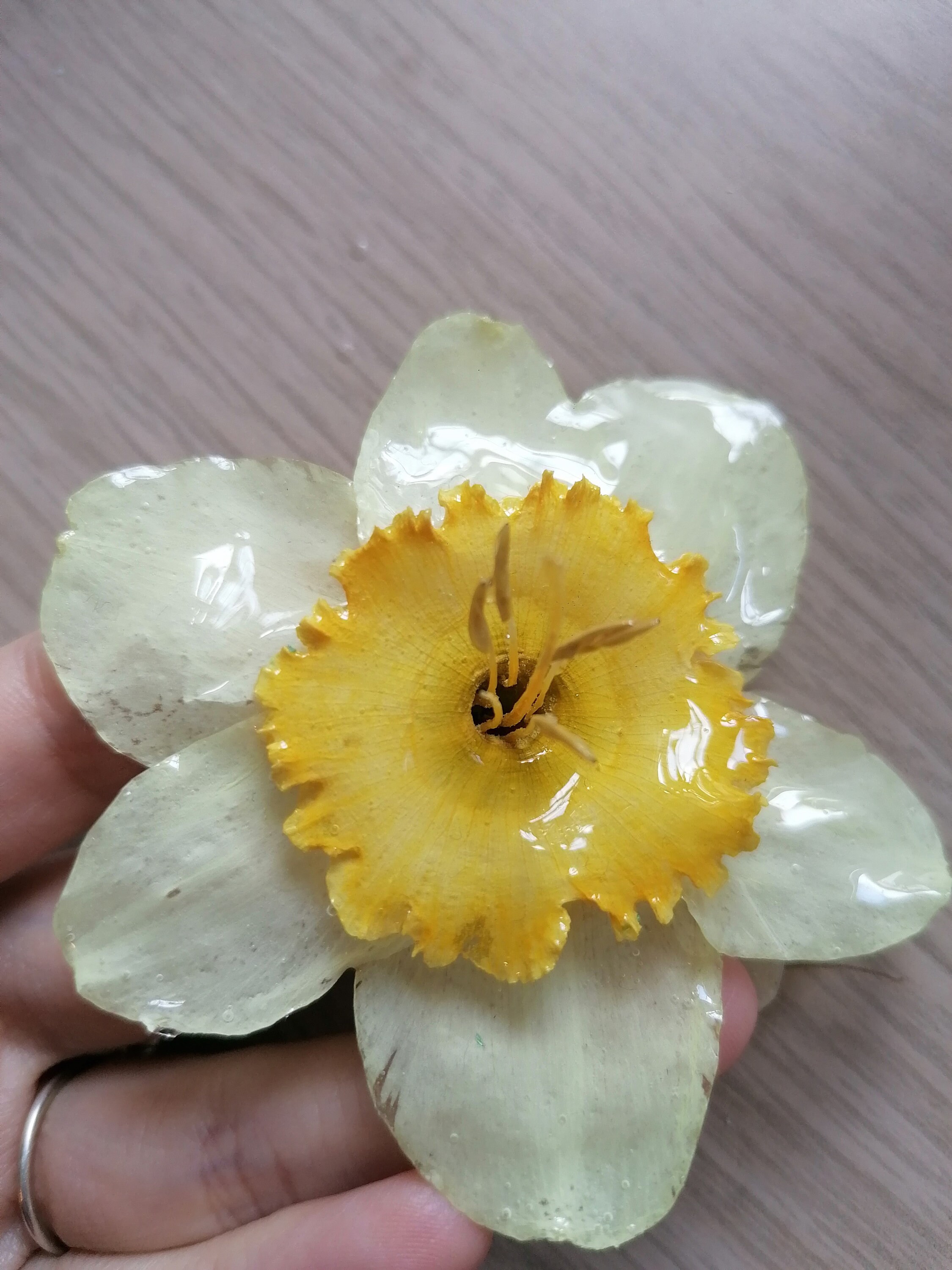 Real Flowers Hair Pins - Daffodil Hair Pin - for Brides and Bridesmaids ...