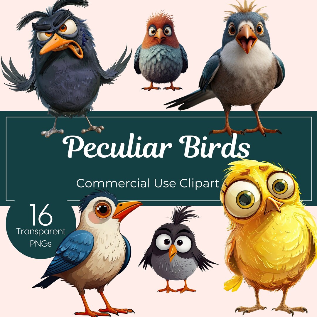 Peculiar Birds Clip Art Set Quirky Whimsical Bird Clipart Images Cute ...