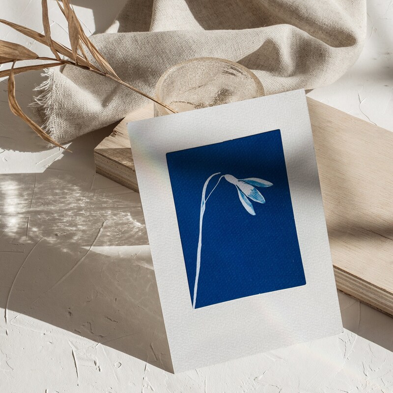 Cyanotype Cards - Etsy UK