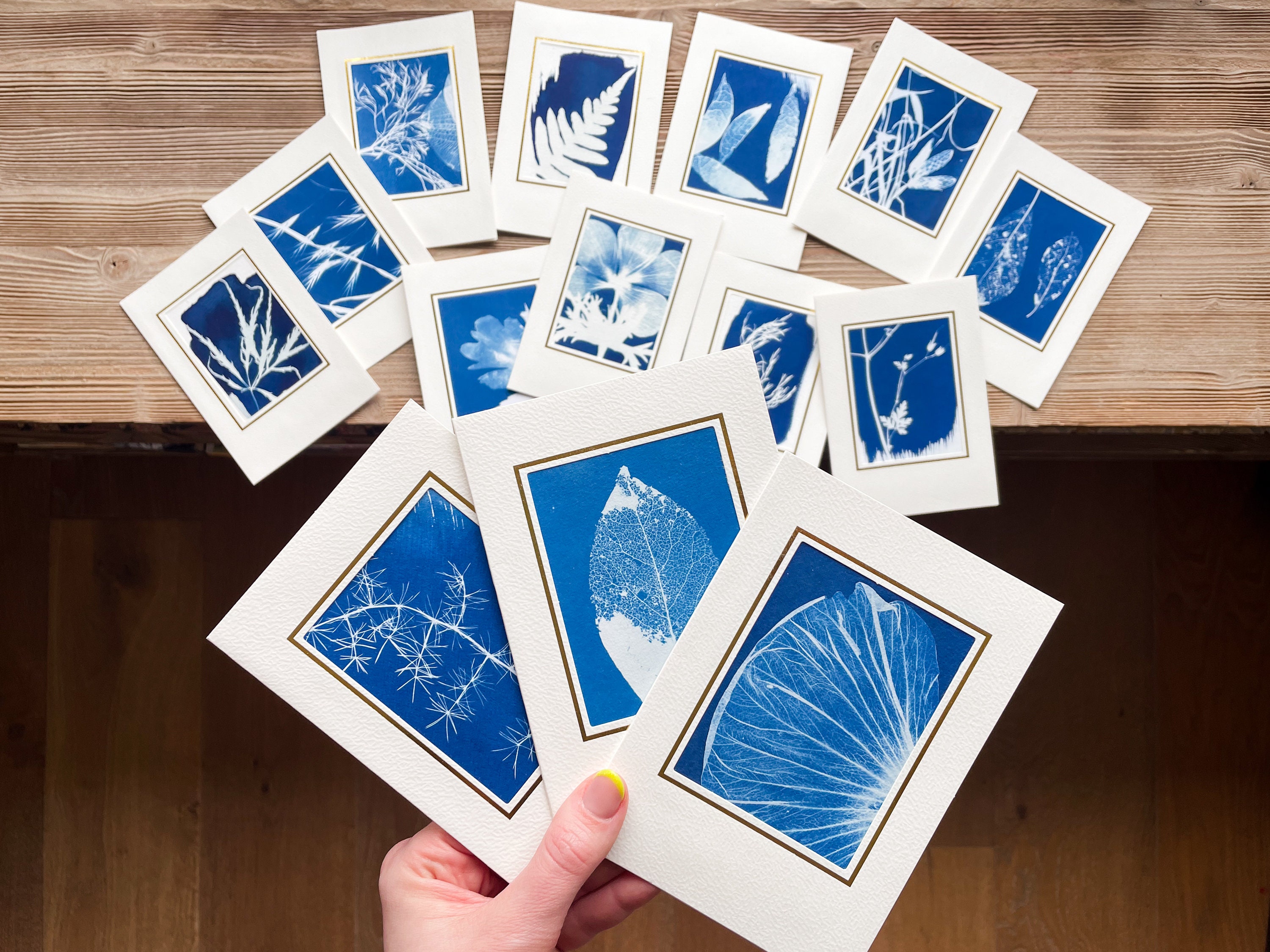 Postcards Set of 3 With Original Cyanotype Art - Etsy