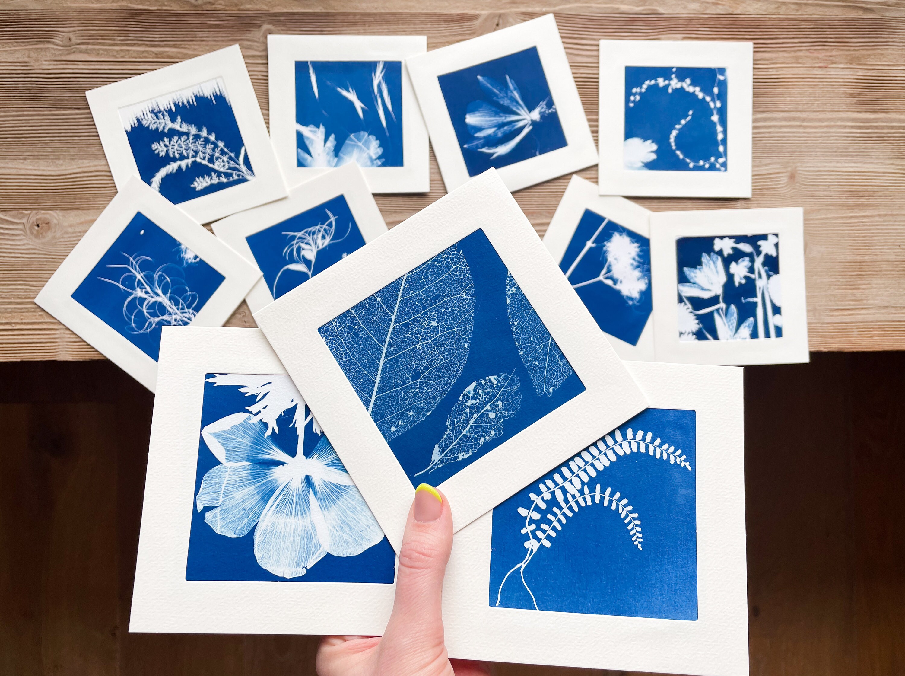 Postcards Set of 3 With Original Cyanotype Art - Etsy