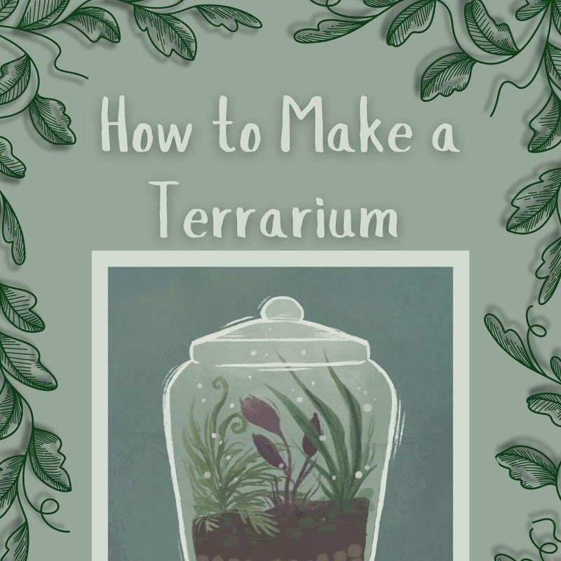 Terrarium Kit - Etsy