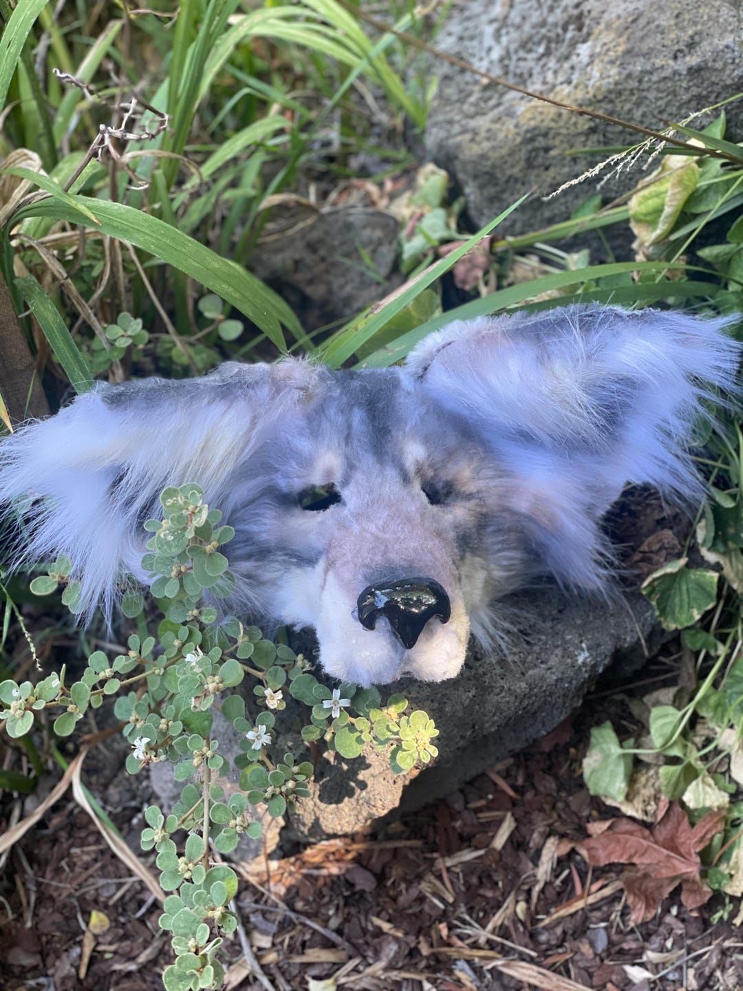Realistic Grey Wolf Mask - Etsy