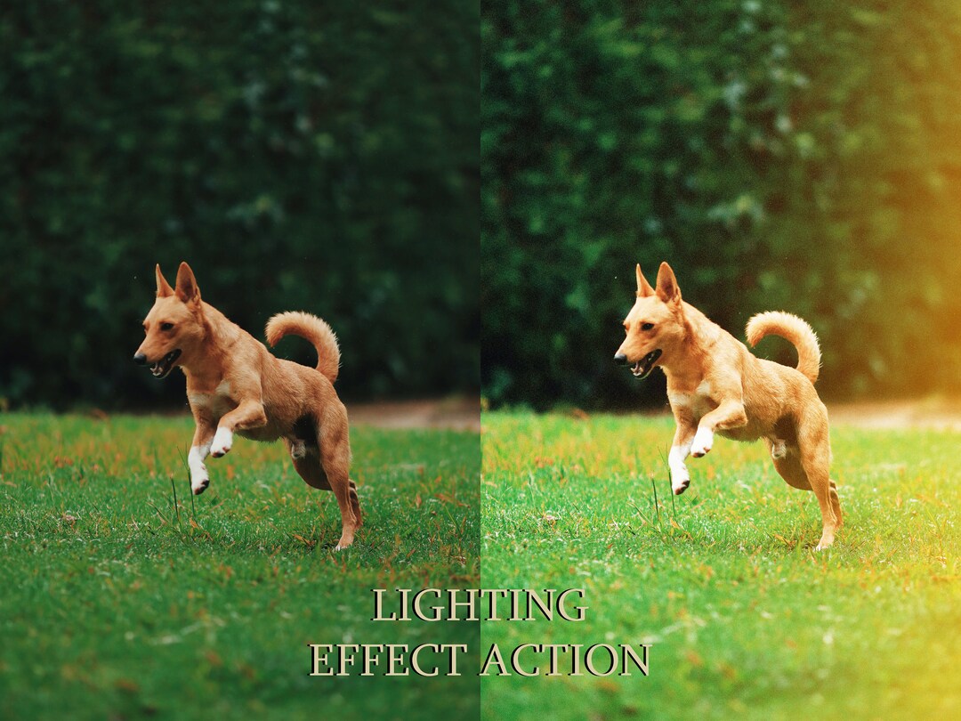 Lighting Effect Photoshop Action, Realistic Art Design, Digital ...